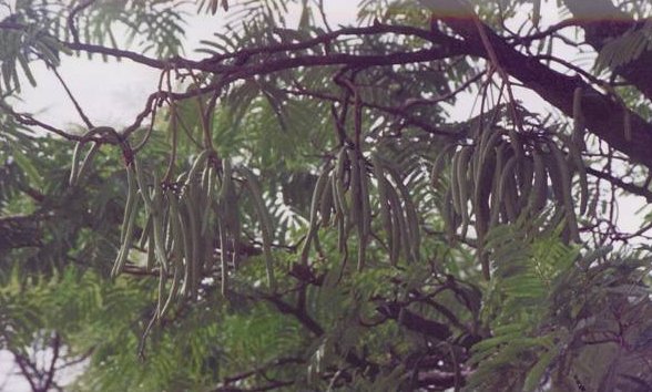 FEMMES GÉNÉRATRICES DE REVENUS : DES ATELIERS QUI SORTENT LES FEMMES DE ...