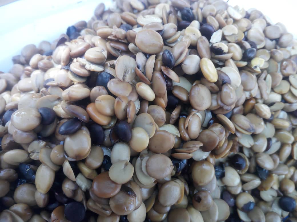 DÉVELOPPEMENT DE LA PRODUCTION DU SOUMBALA DANS LE GOURMA